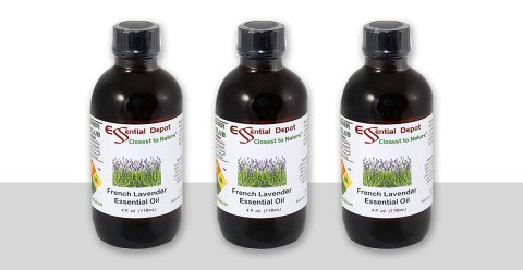 Comparison: Best French Lavender Essential Oils